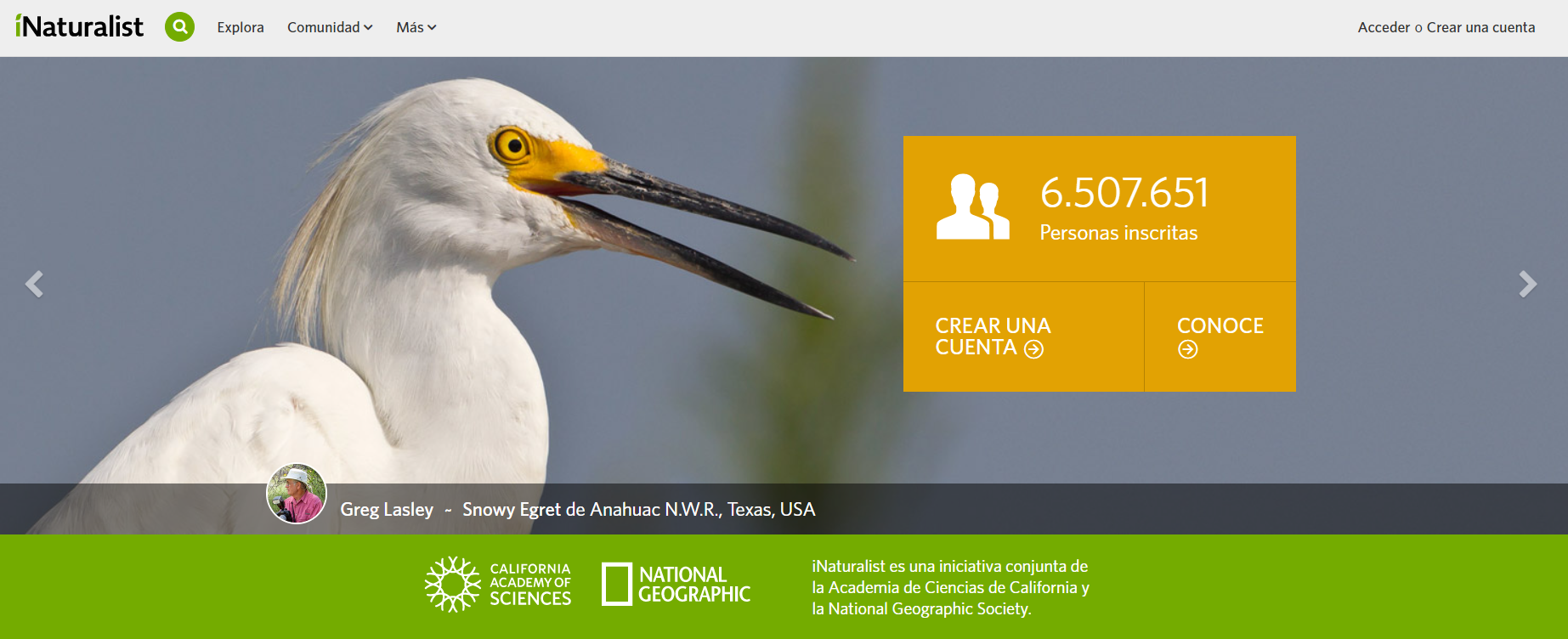 iNaturalist – La red social que nos ayuda a identificar y encontrar ...